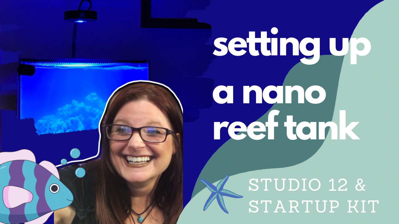 Setting Up a Nano Reef Tank - Reef Casa’s Studio 12 Aquarium ...
