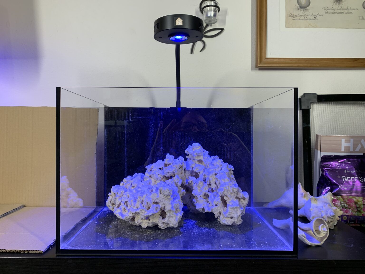 Setting Up a Nano Reef Tank - Reef Casa’s Studio 12 Aquarium ...