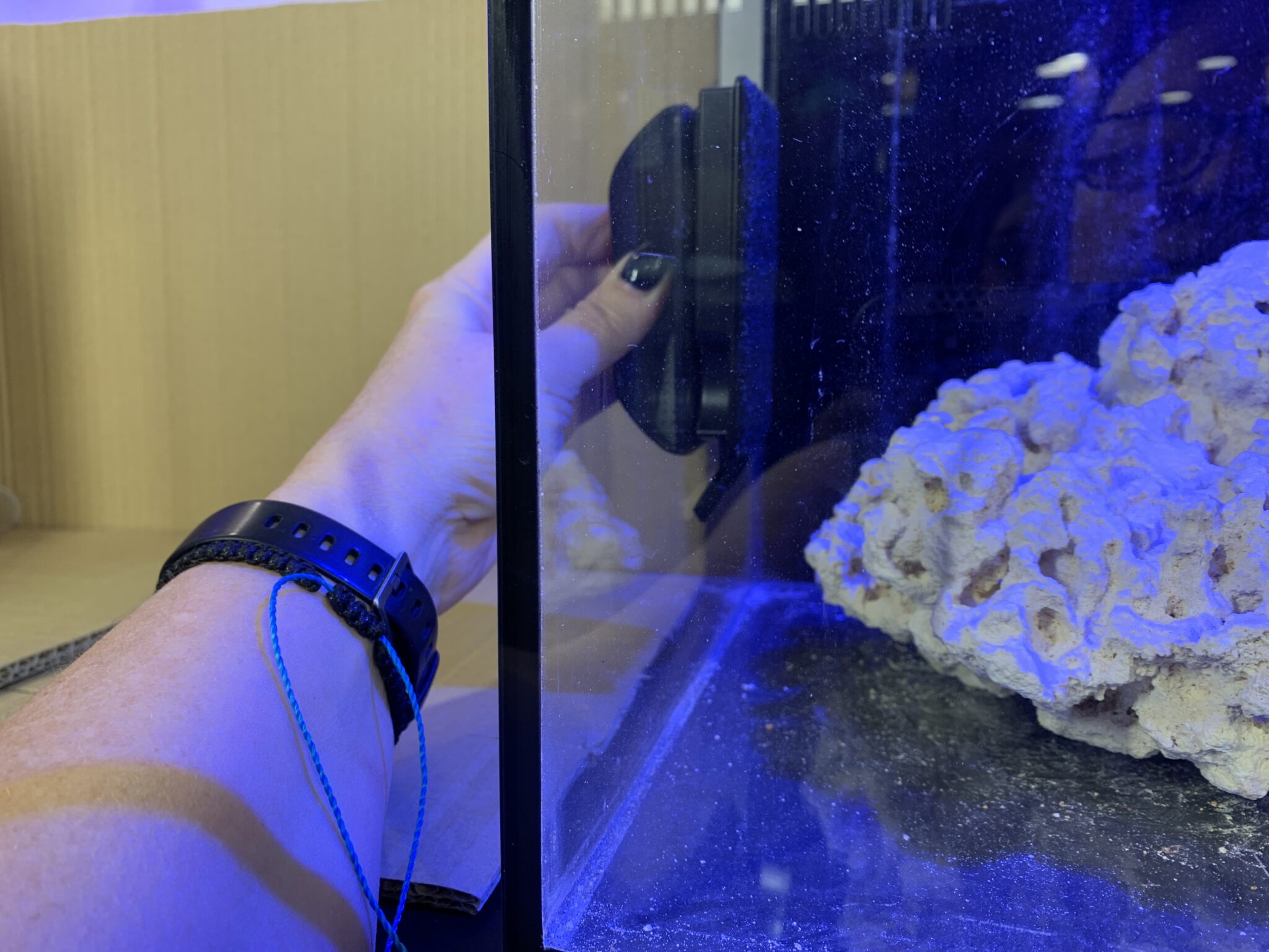 Setting Up a Nano Reef Tank - Reef Casa’s Studio 12 Aquarium ...
