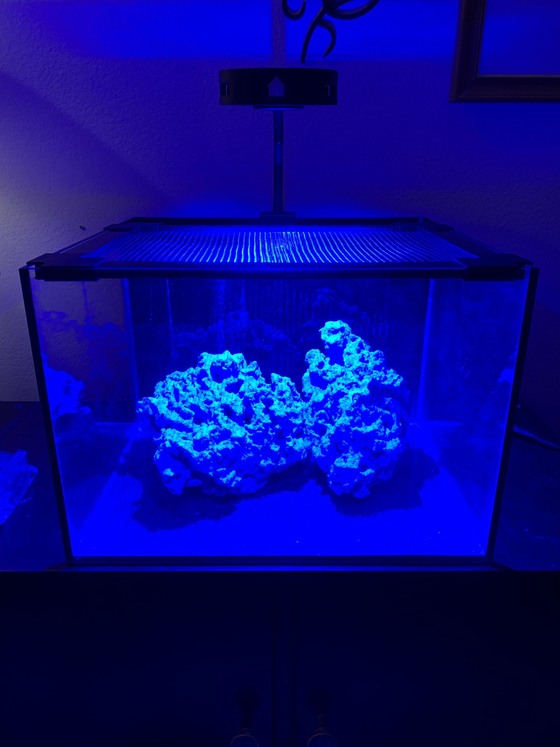 Special Delivery from Canada: The New Studio 12 All-In-One Aquarium ...