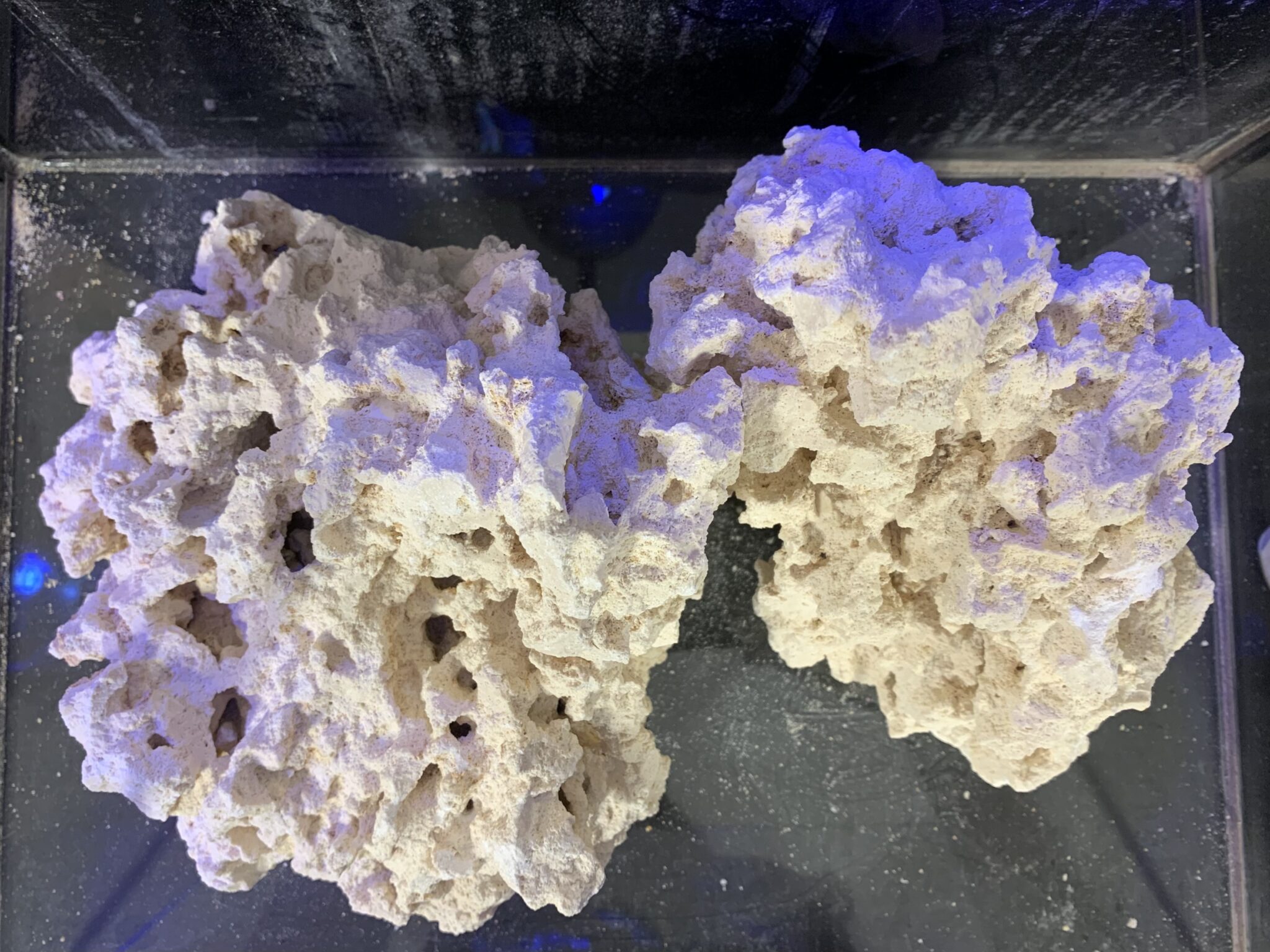 Setting Up a Nano Reef Tank - Reef Casa’s Studio 12 Aquarium ...