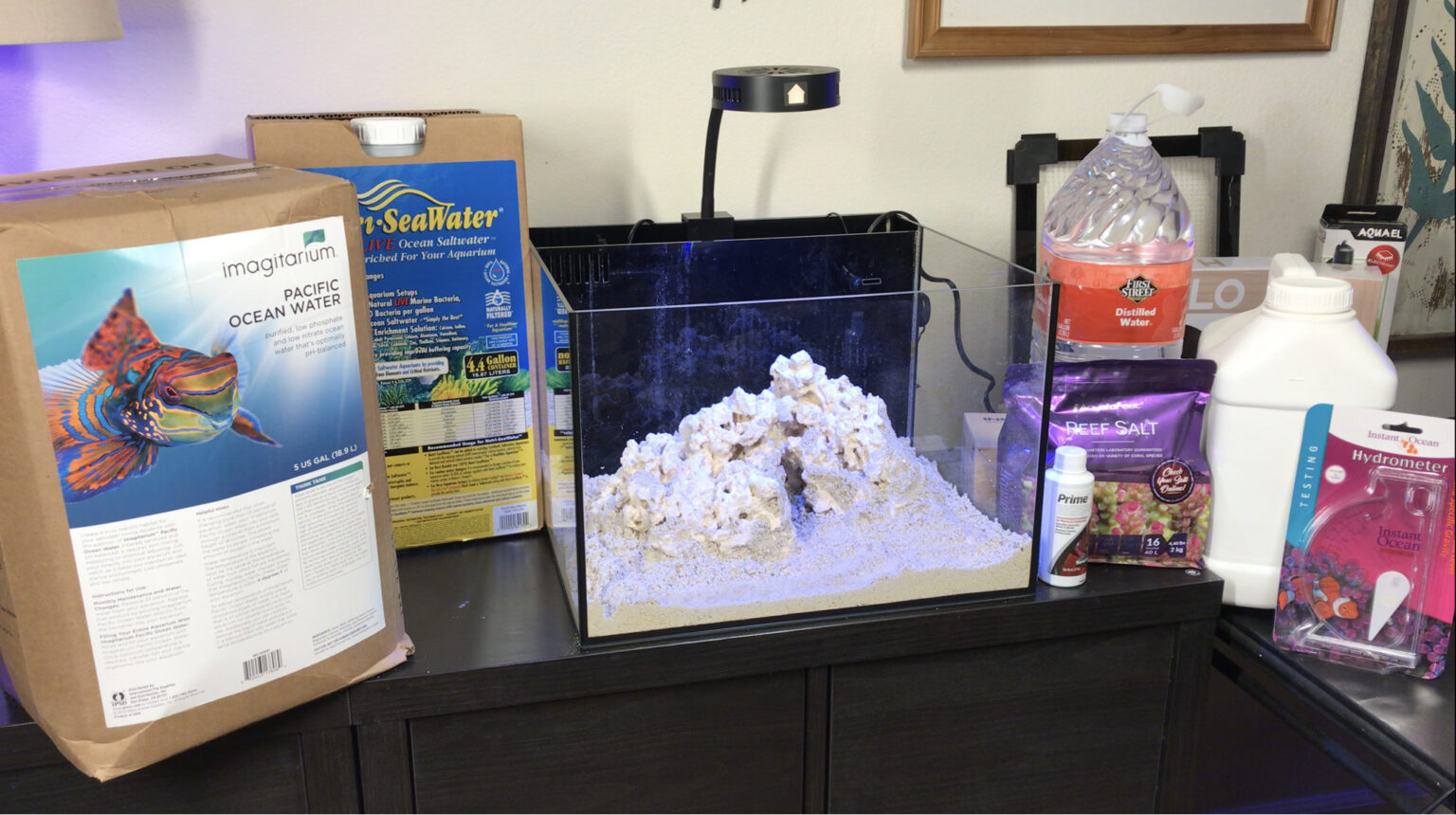 Setting Up a Nano Reef Tank - Reef Casa’s Studio 12 Aquarium ...