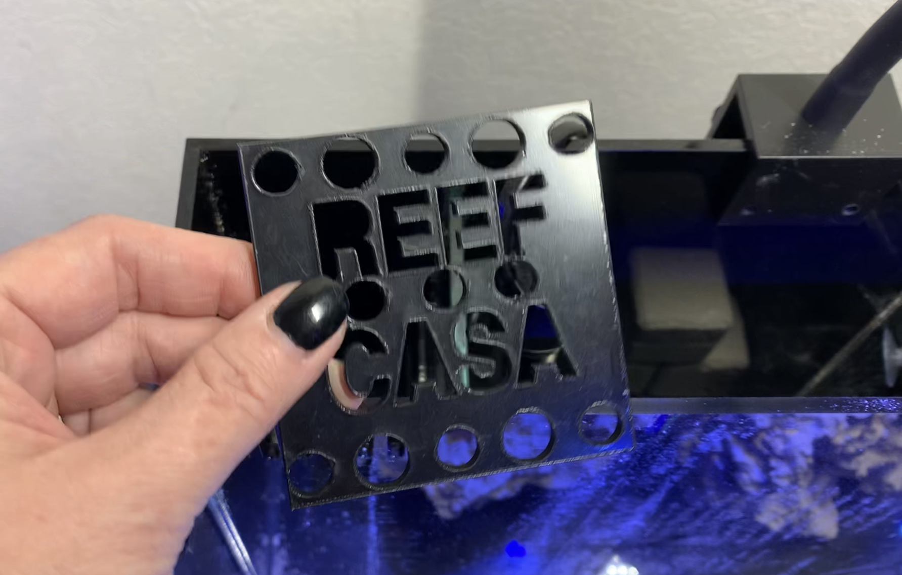 Setting Up a Nano Reef Tank - Reef Casa’s Studio 12 Aquarium ...