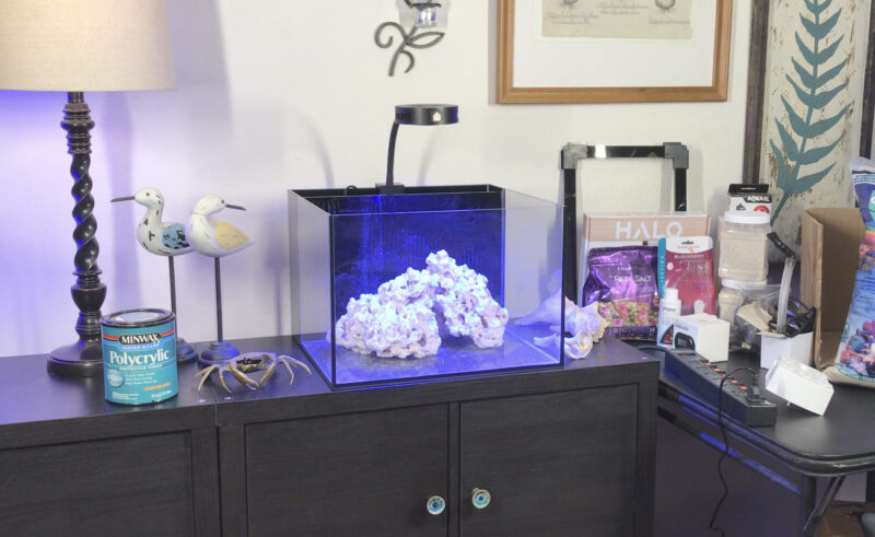 Setting Up a Nano Reef Tank - Reef Casa’s Studio 12 Aquarium ...